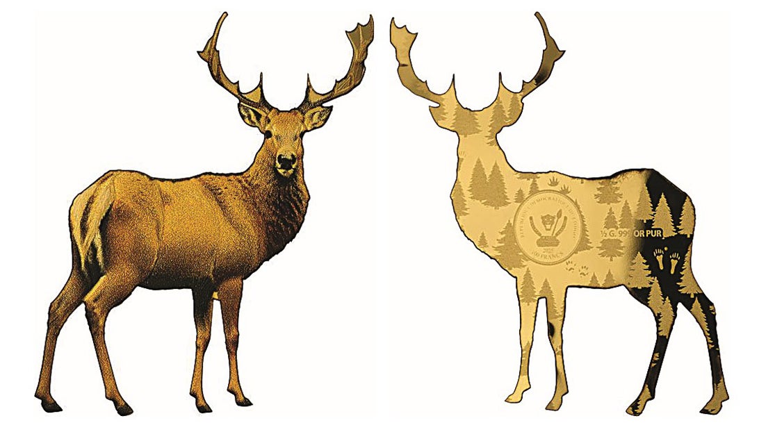 What's New in NumisMaster: February 2025 - Numismatic News